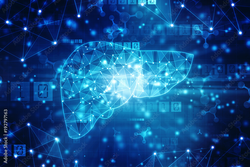 2d illustration human liver, Medicine anatomy, organ human, health and ...