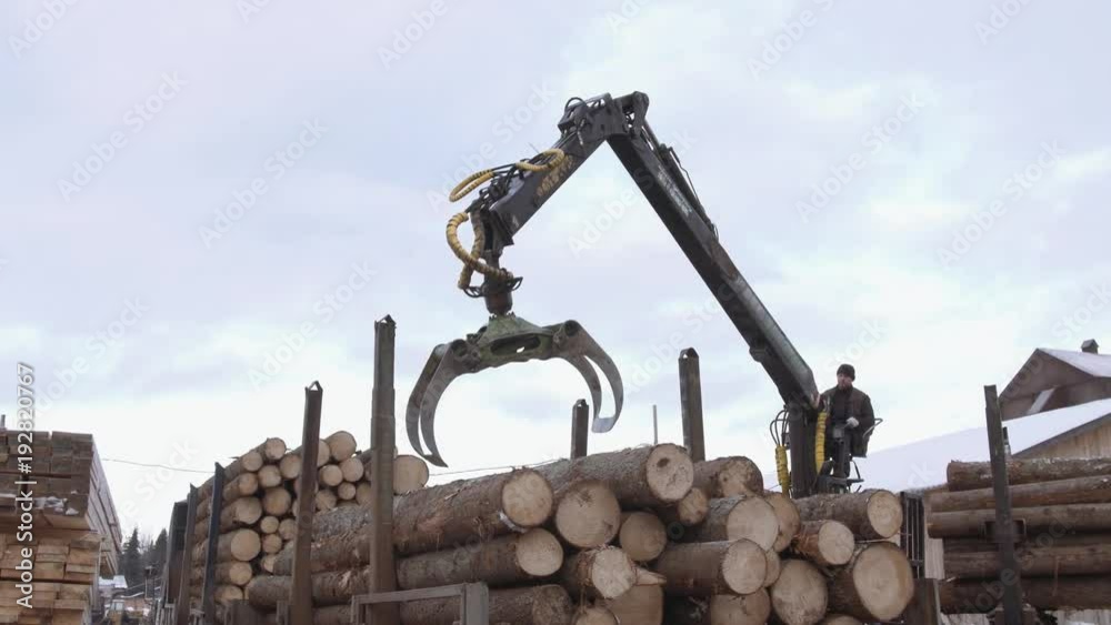 Mechanical claw loader unloads timber logs from heavy truck at sawmill ...