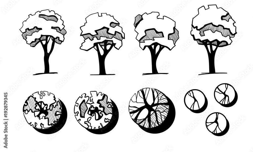 Trees for a landscape design. Different hand drawn trees isolated on ...