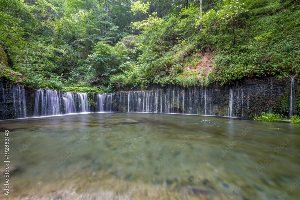 Shiraito Falls (Shiraito-no-taki) 3 Meters height waterfall but spread ...