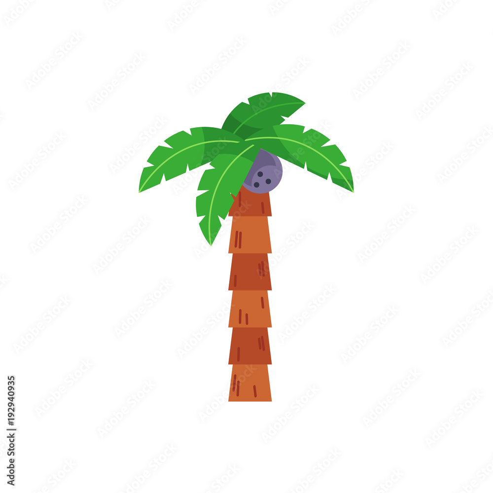 Animated Coconut Tree