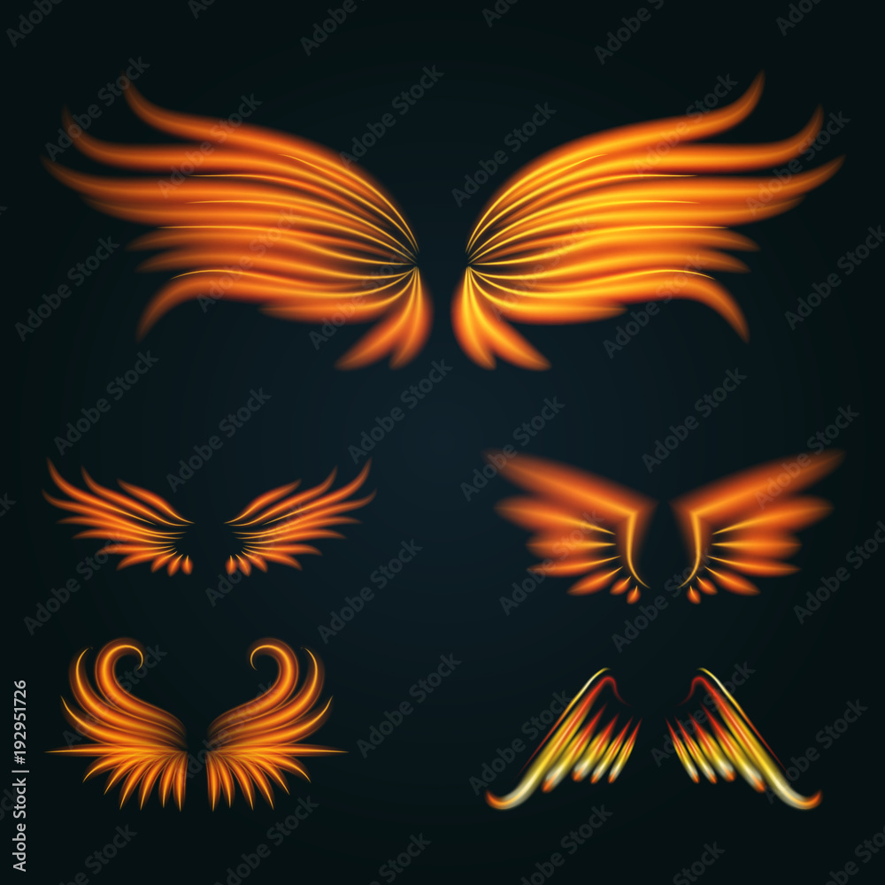 Bird fire wings vector fantasy feather burning fly mystic glow fiery ...