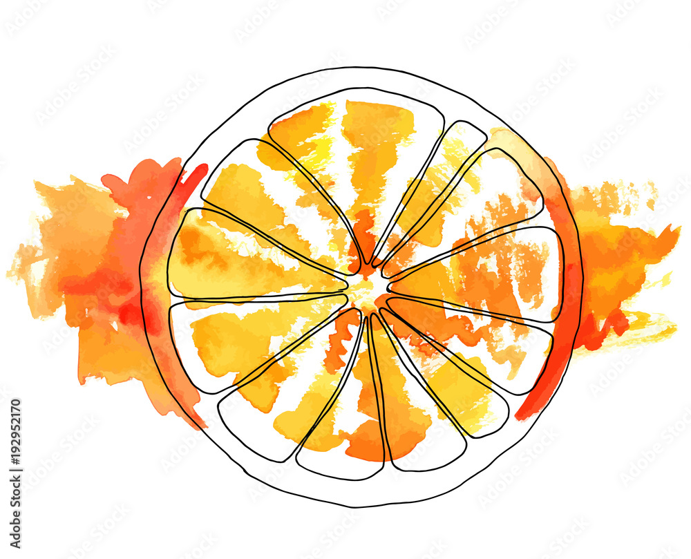 Vector and watercolour orange drawing with splashes on white Stock ...