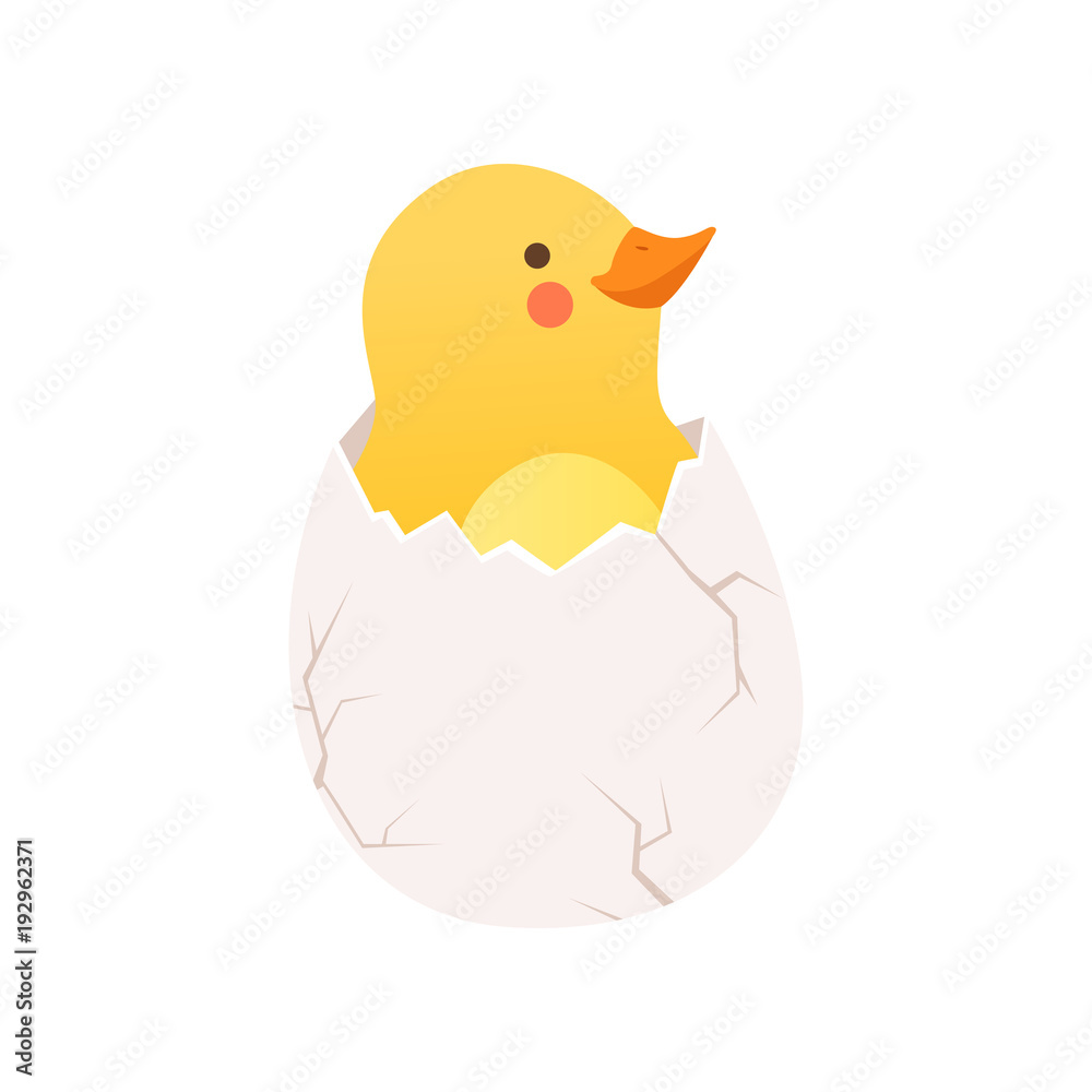 Cartoon Baby Chicken Hatching