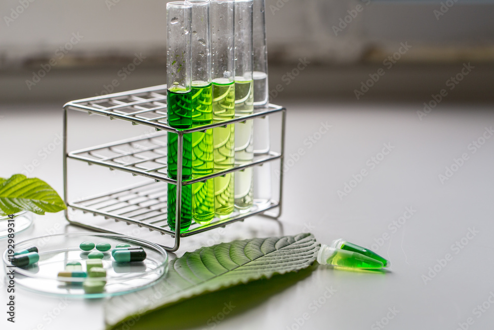 Foto de Science Research leaves of Mitragyna speciosa (kratom) and Chemical analysis in Lab. do ...