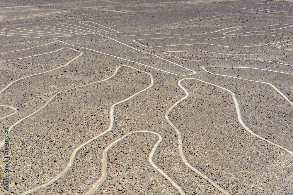 Poster Nazca Lines (The Tree) seen from observation deck, Peru – Wall ...
