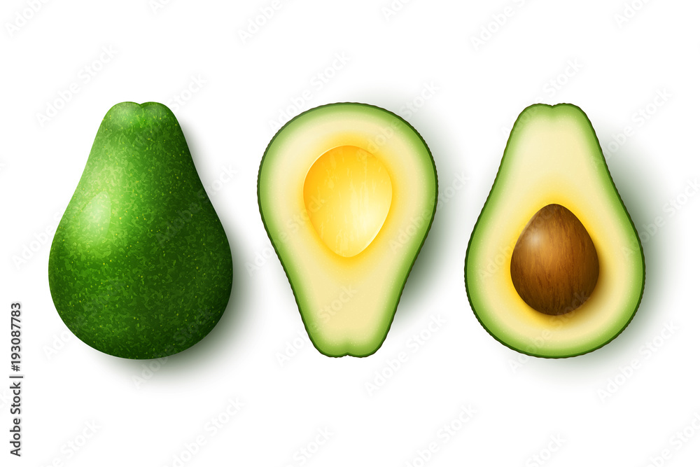 Vector realistic fresh fruit avocado isolated on white background ...