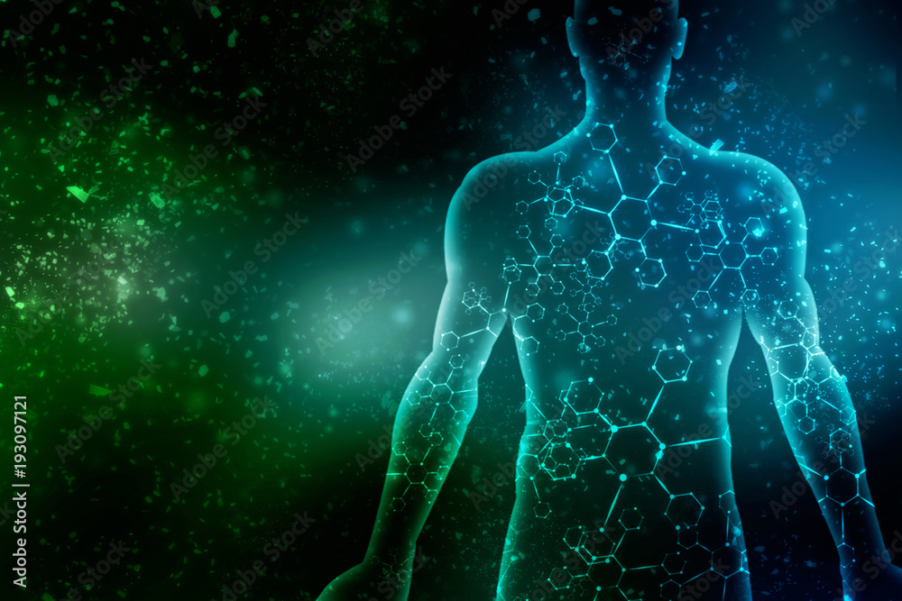 2d illustration Human Male Muscle Body Stock Illustration | Adobe Stock