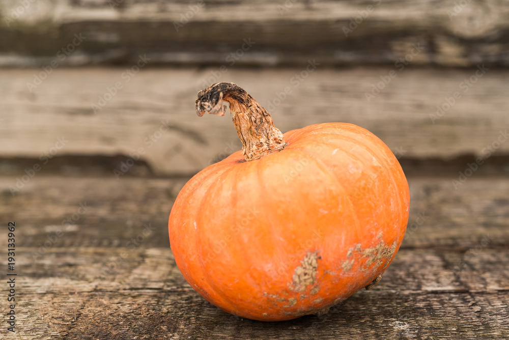 Orange autumn pumpkins on the old rustic table with vintage film ...