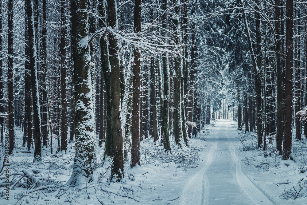 Dark Snowy Landscape
