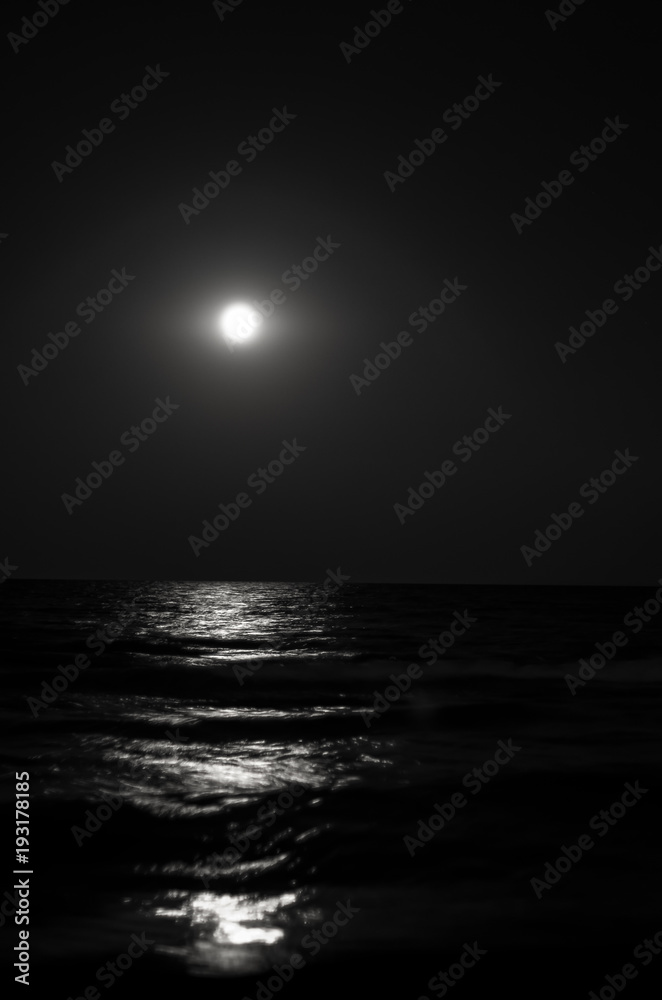 Moonlight Night Black And White