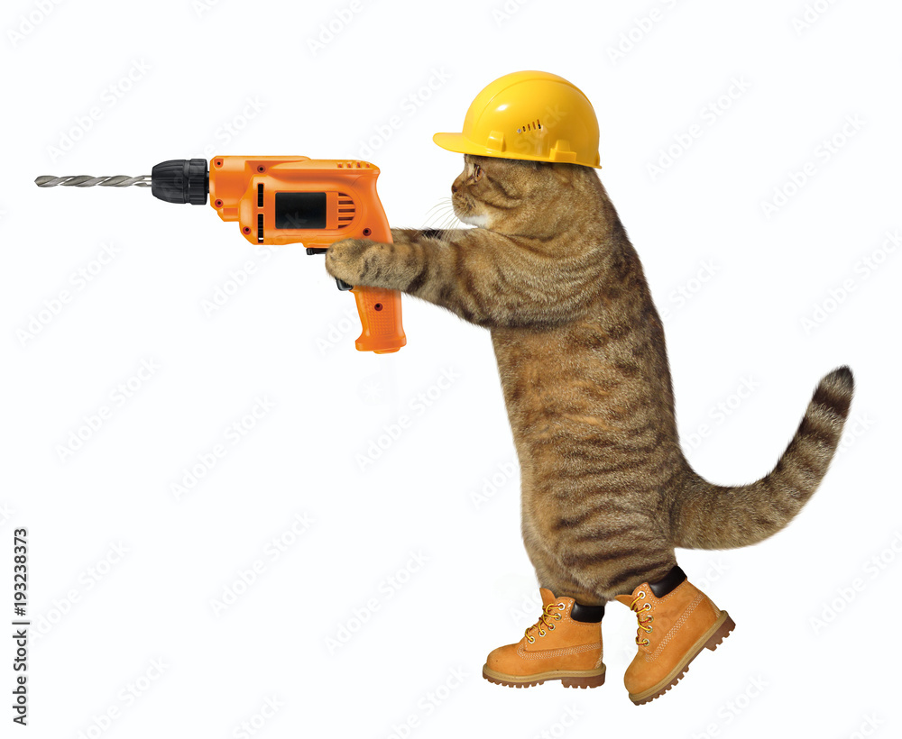 The cat worker holds an electric drill . White background. Stock Photo ...