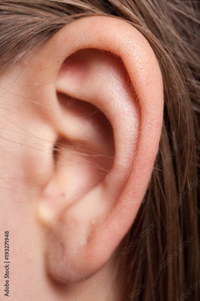 ear of a young healthy girl Detail of the head with female human ear ...