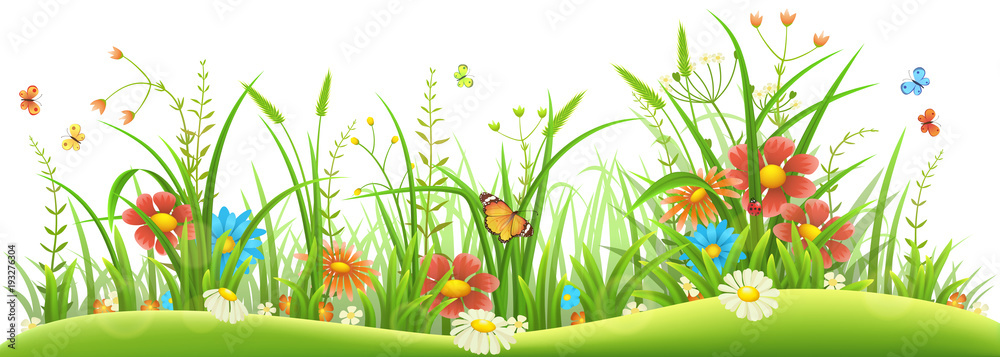 Green grass with spring flowers and butterflies on white background ...