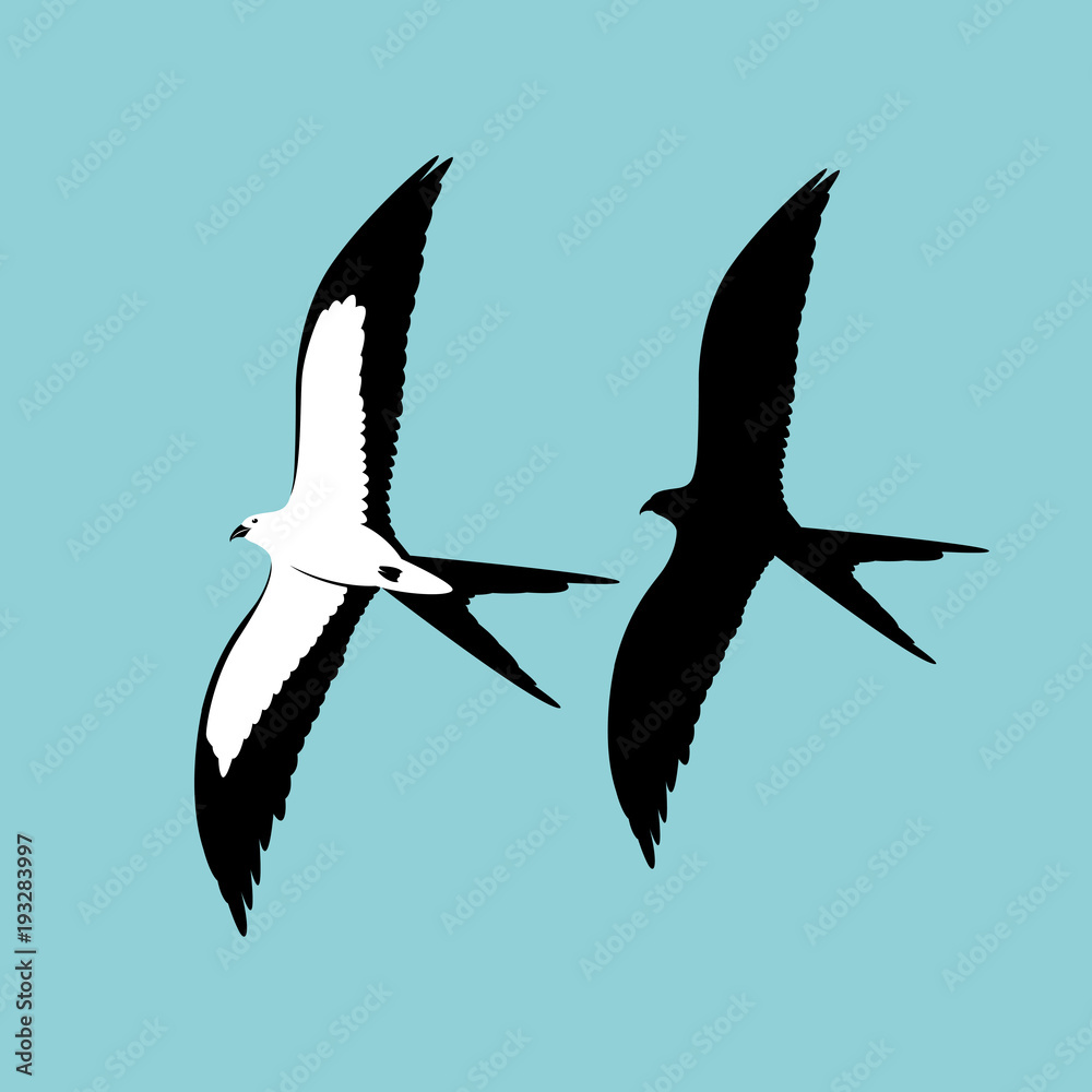 swallow - tailed kite vector illustration flat style profile silhouette ...
