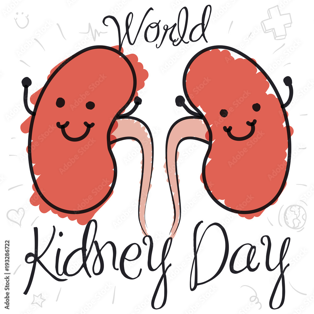 Cute Kidneys and Doodle Drawings for World Kidney Day, Vector ...