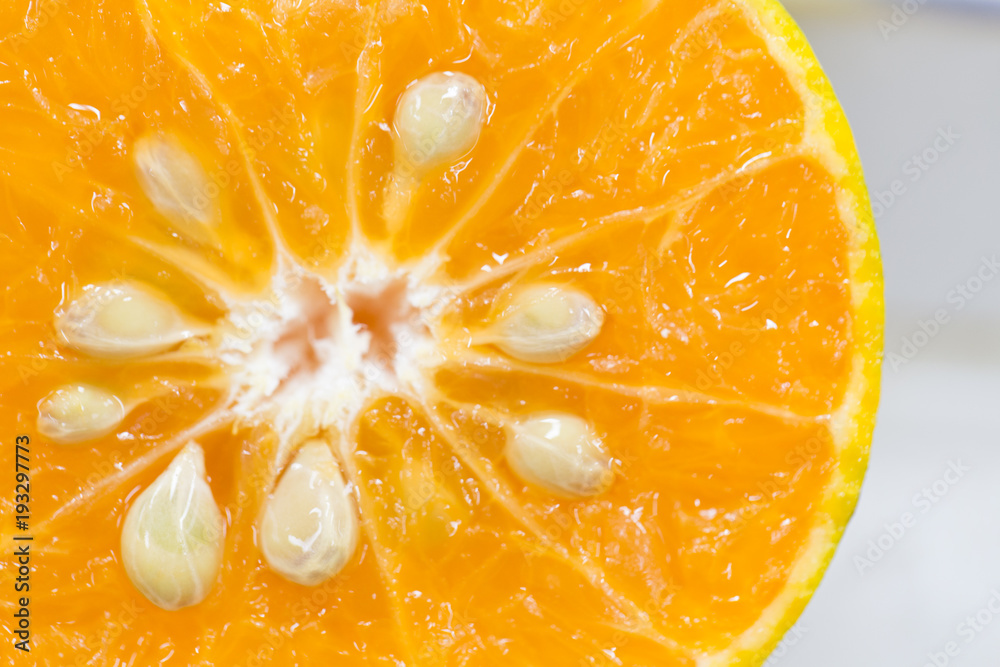 Study of Structure of Fruit in Lab. Stock Photo | Adobe Stock