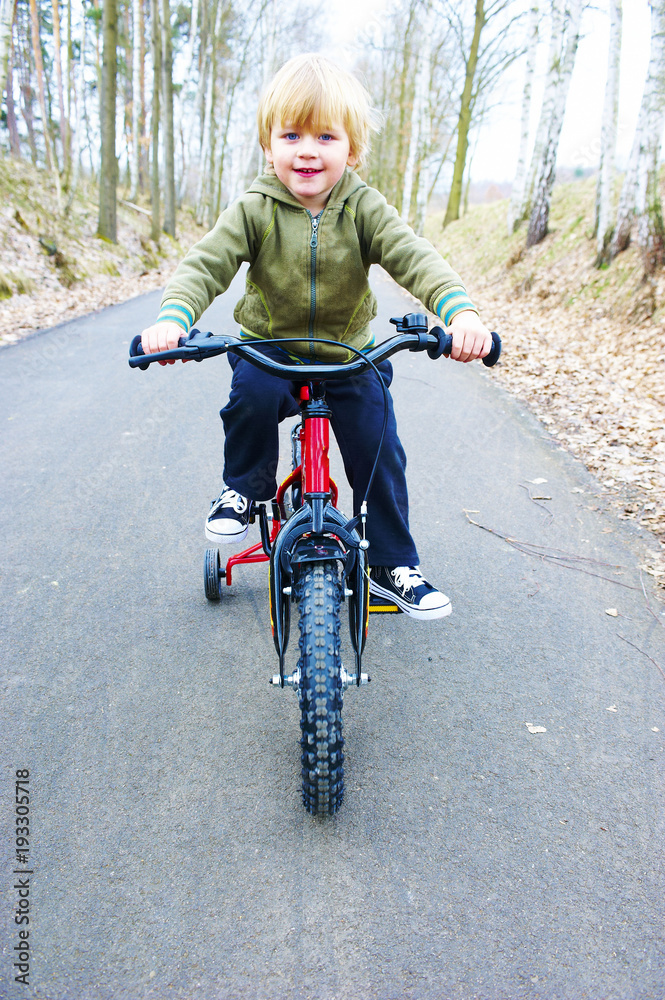 Little boy on bicycle in green park outdoor in summer. A child is ...