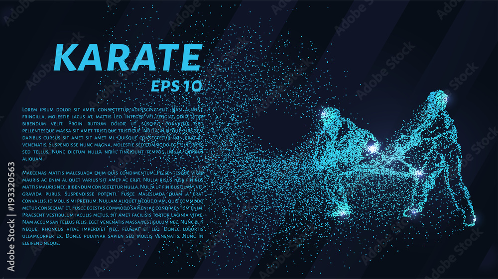 Karate of particles. The karate consists of dots and circles. Blue ...