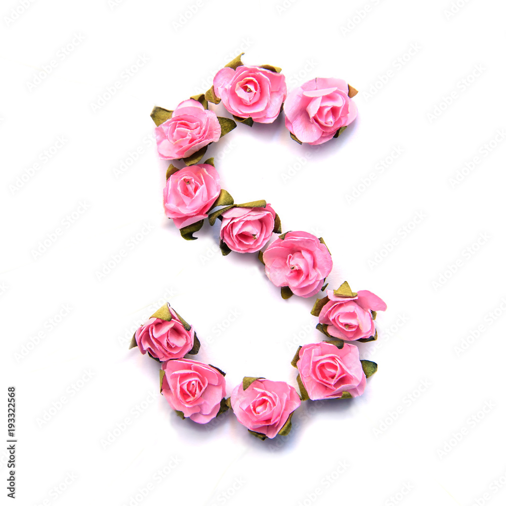Letter S of English alphabet of pink roses on white background Stock ...