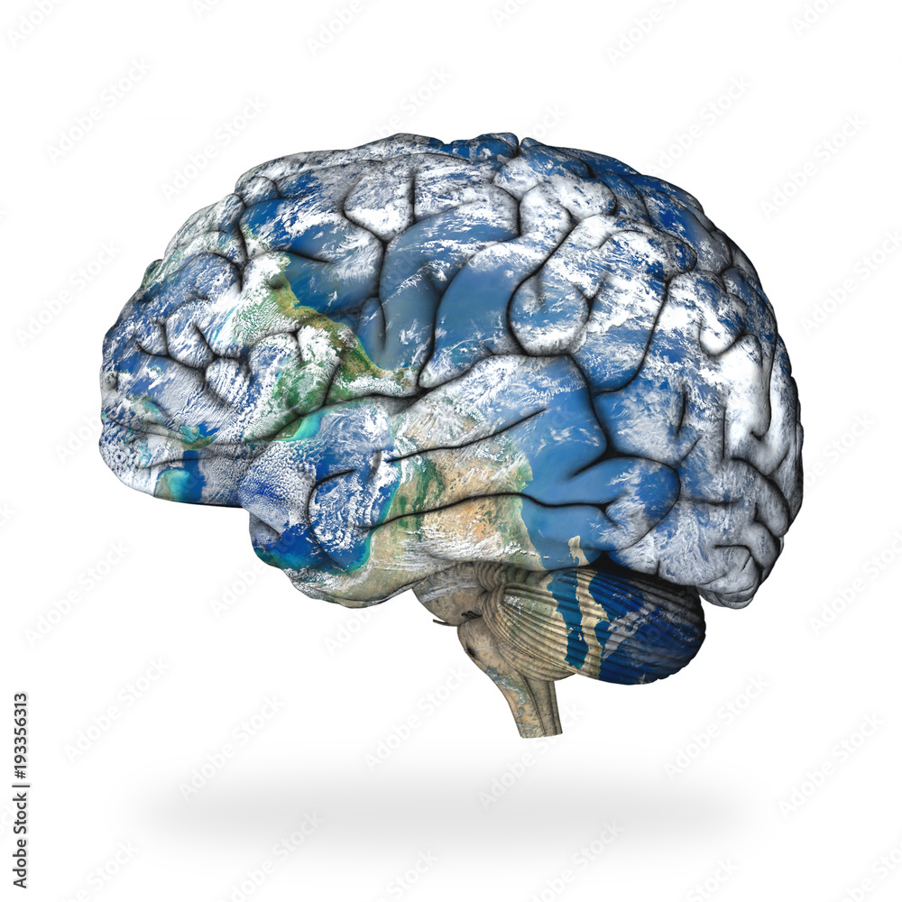 World Alzheimer’s day concept: brain of earth isolated on white ...