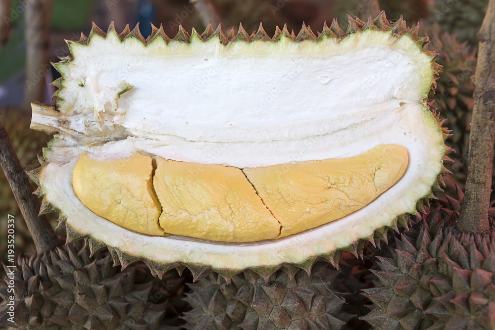 durian, Thai fruit, lin lublae Stock Photo | Adobe Stock