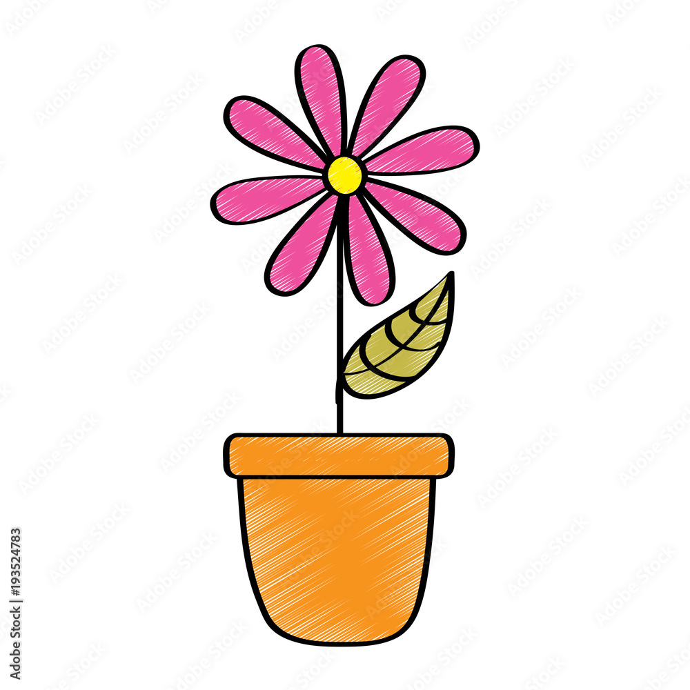 Flower Daisy In Pot Illustration