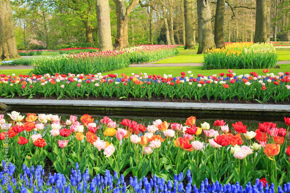 Poster Frühling im Keukenhof in Lisse, Holland – Tableau | Europosters
