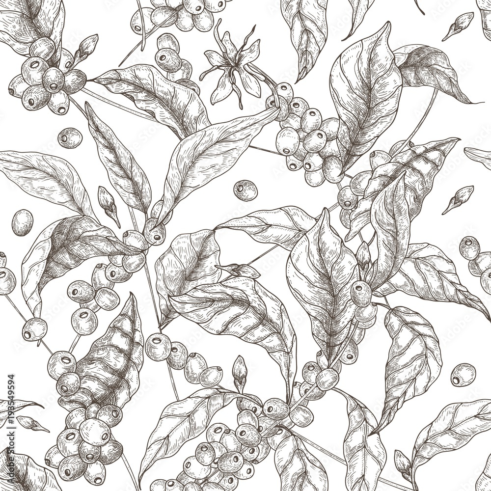 Beautiful seamless pattern with coffea or coffee tree branches, leaves ...
