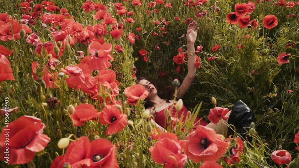 Sensual girl in poppy field. Young girl in the field. Girl laying in ...