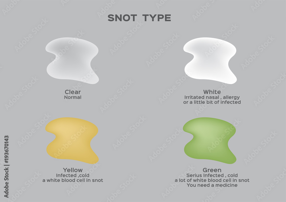 snot type vector .mucus Stock Vector | Adobe Stock