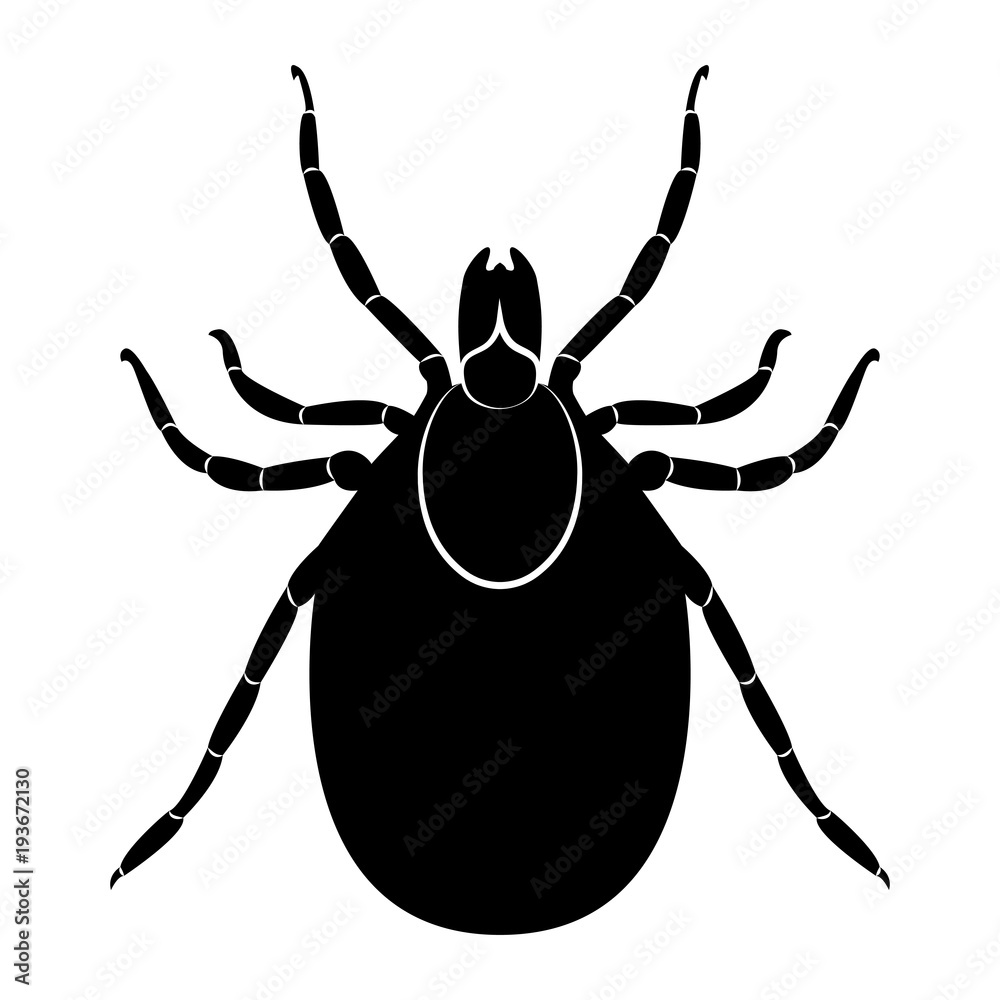 Vector image of a silhouette of a tick on a white background. Stock ...