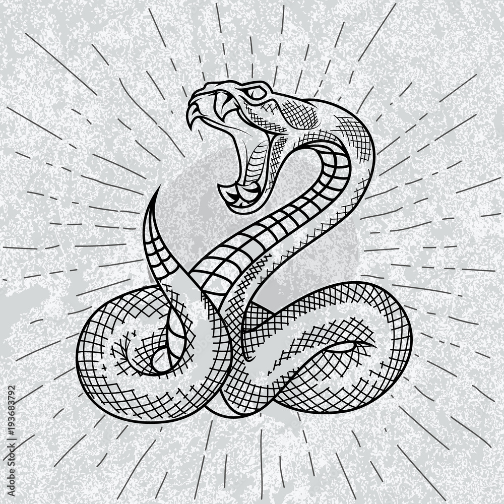 Viper snake in star rays with grunge background. Hand drawn ...