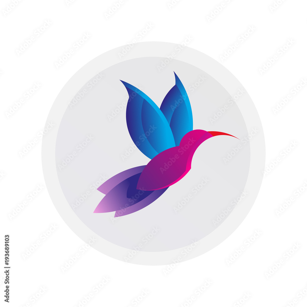 Colorful hummingbird sign. Simple Colibri logo. Drawing of animal fly ...