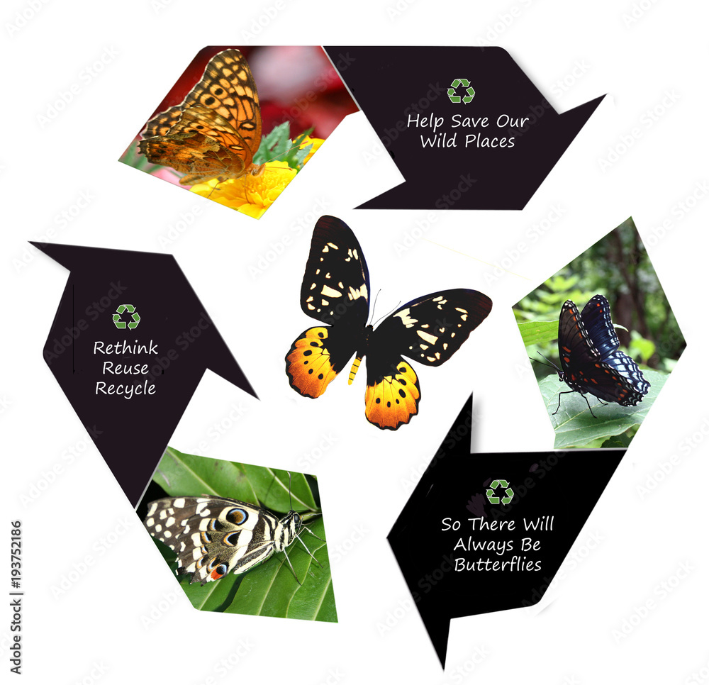 Recycle Symbol With Images and Sayings and Butterflies Stock ...
