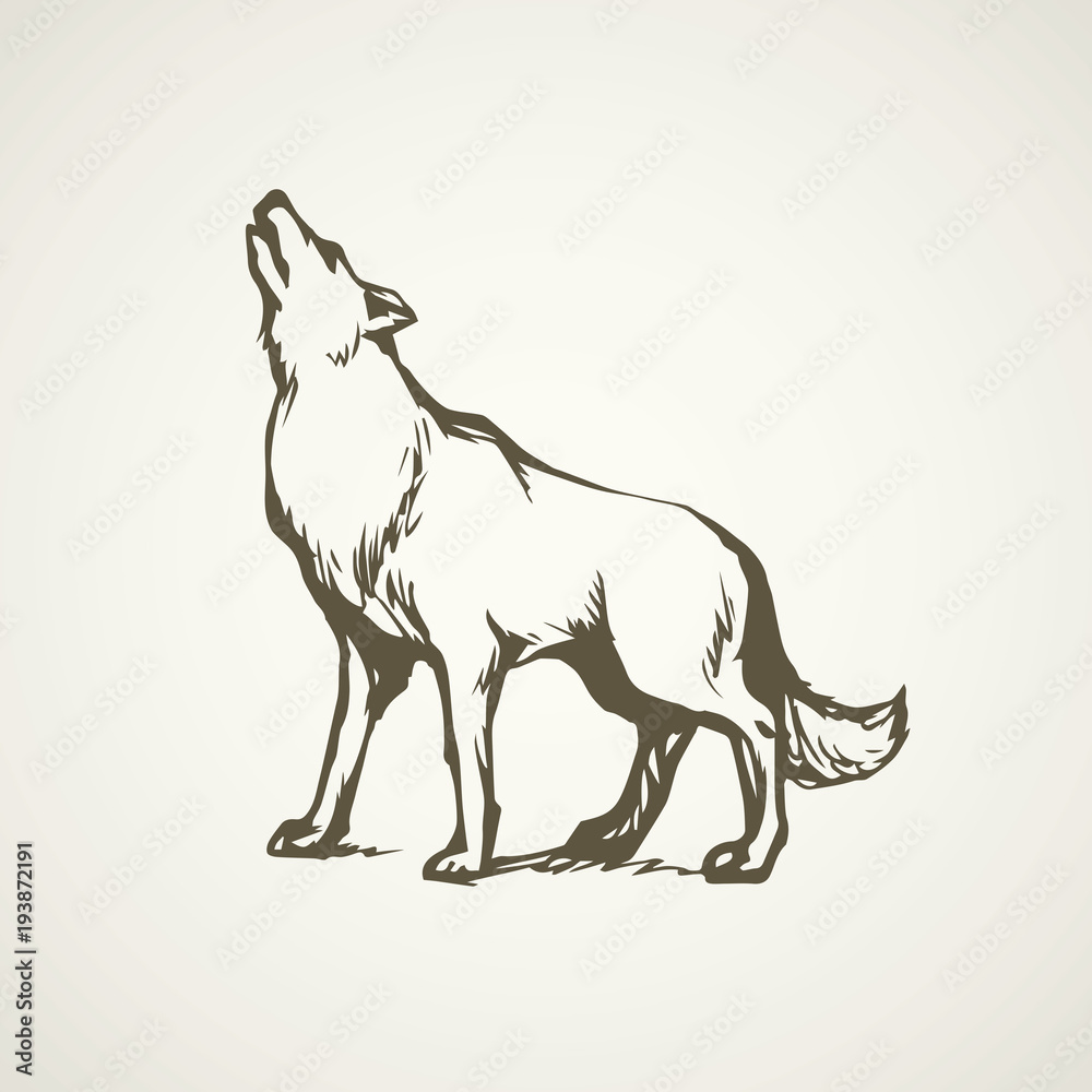 Wolf. Vector drawing Stock Vector | Adobe Stock
