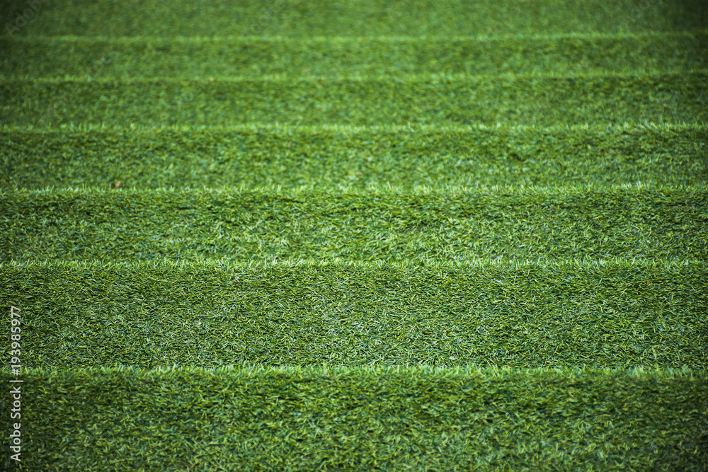 Green grass stair step,Top view green grass step stairs for interior ...