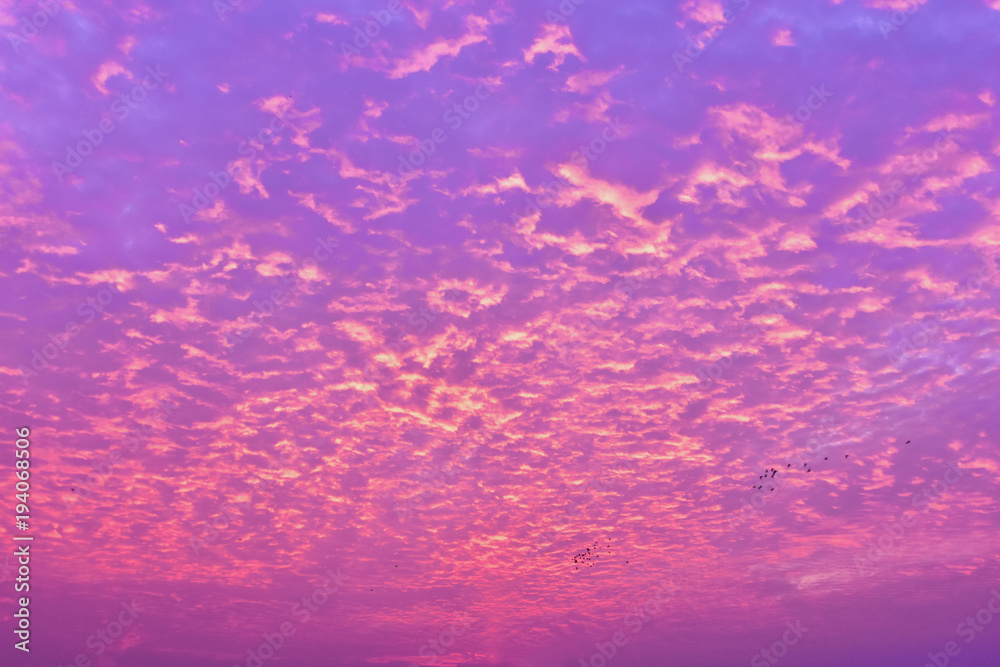Fluffy pink clouds and violet sky. Feel fresh with the colors of the ...