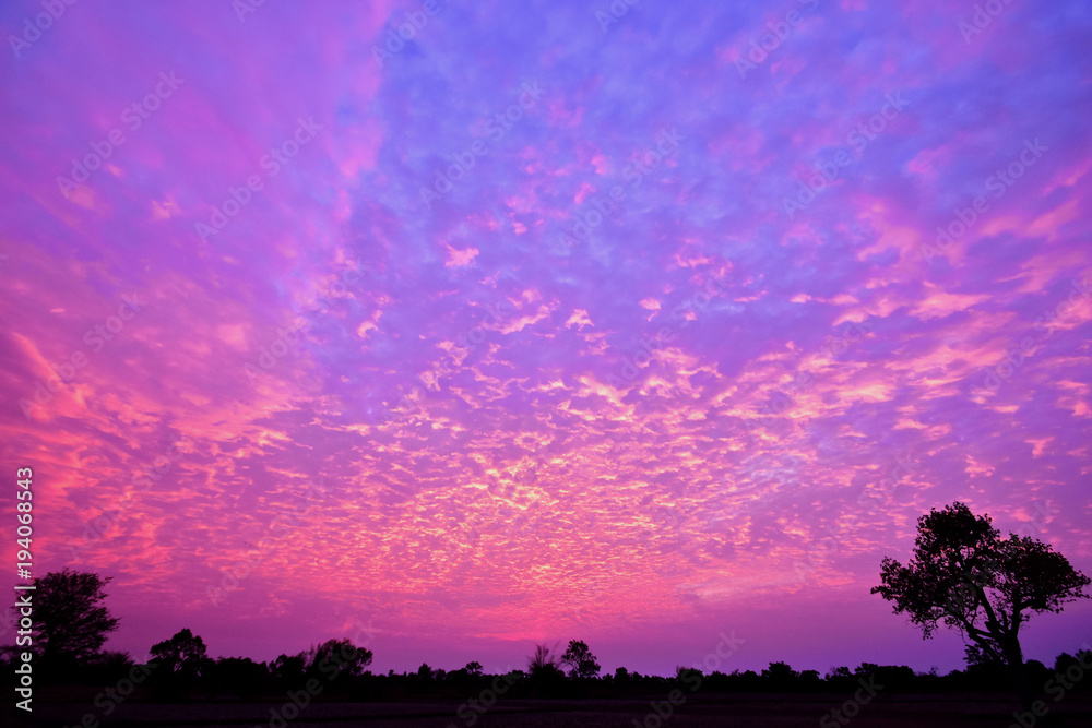 Fluffy pink clouds and violet sky. Feel fresh with the colors of the ...