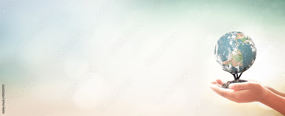 World environment day concept: Human hands holding tree of earth global ...