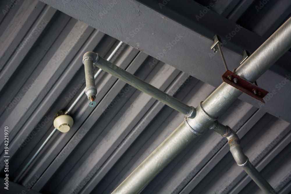 automatic head fire sprinkler extinguisher on white ceiling light ...