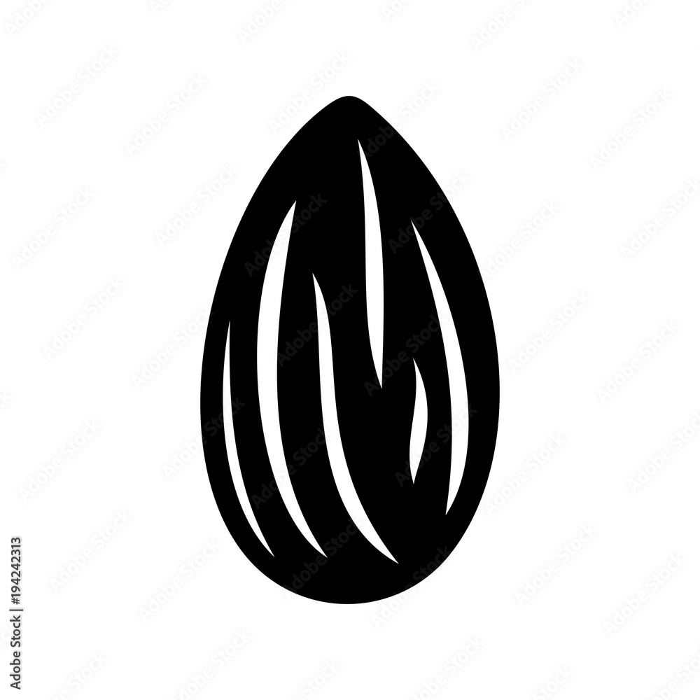 Almond Vector