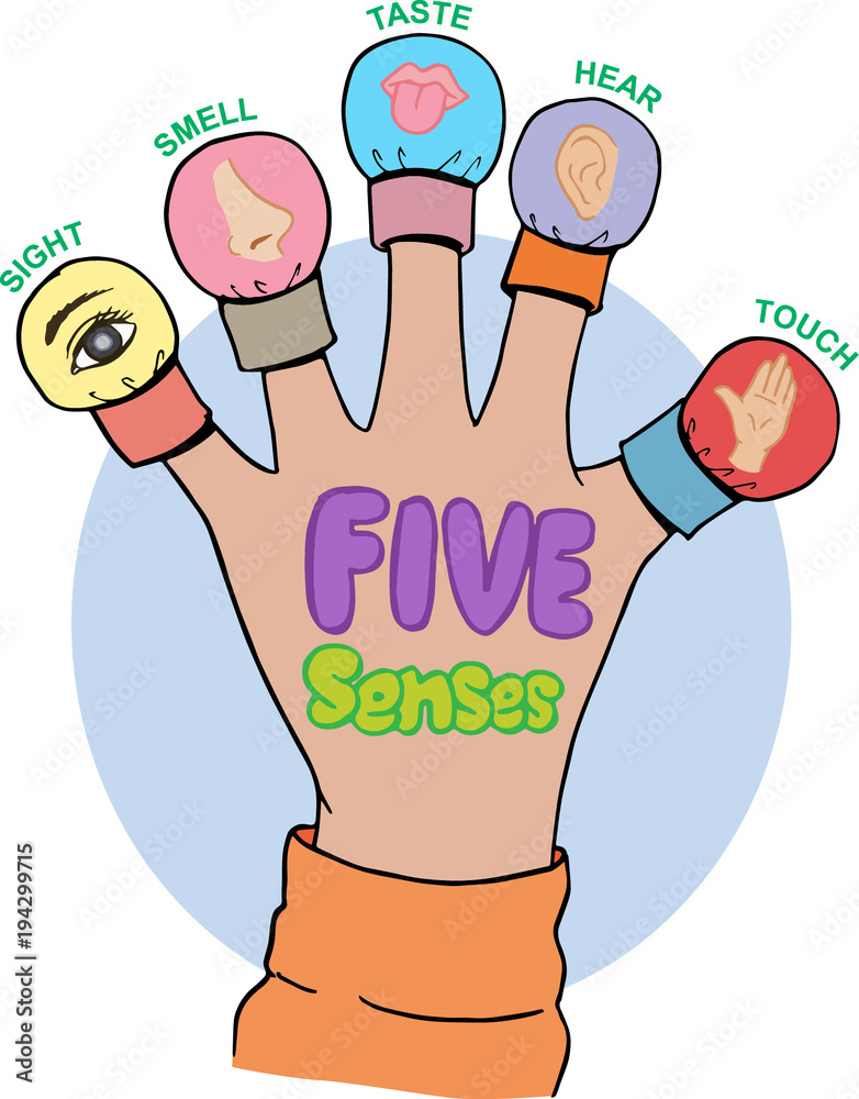 Hand with five senses Stock Illustration | Adobe Stock