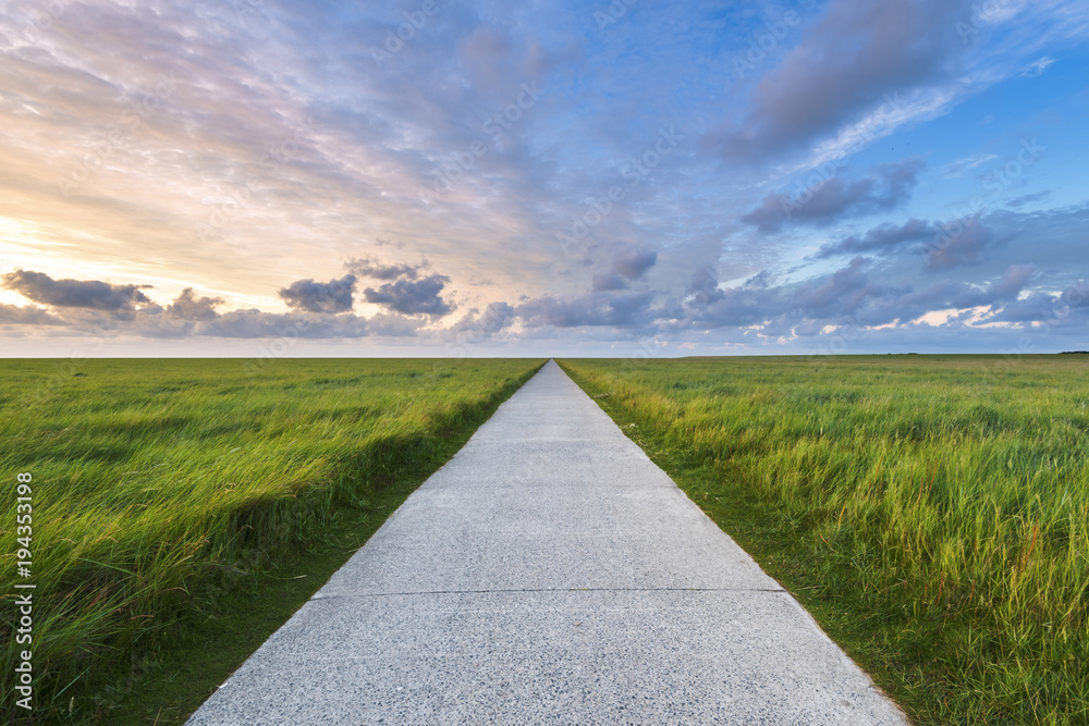 Straight pathway along meadows Stock Photo | Adobe Stock