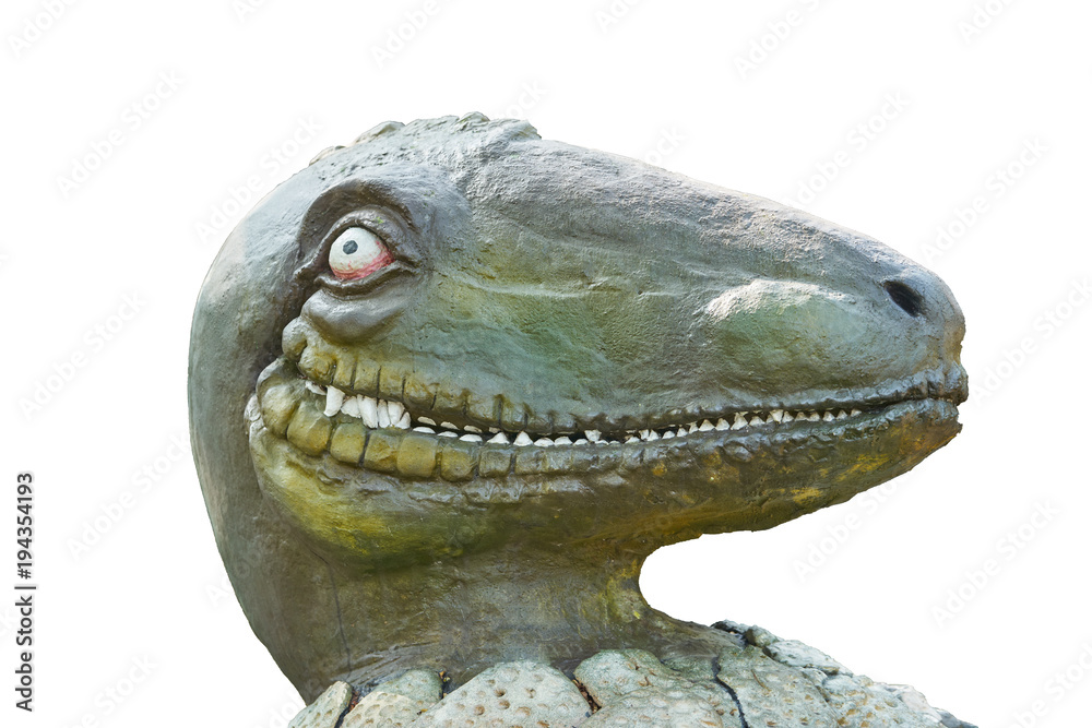 head of raptor dinosaur look by one eye a bit smile while it hatch from ...
