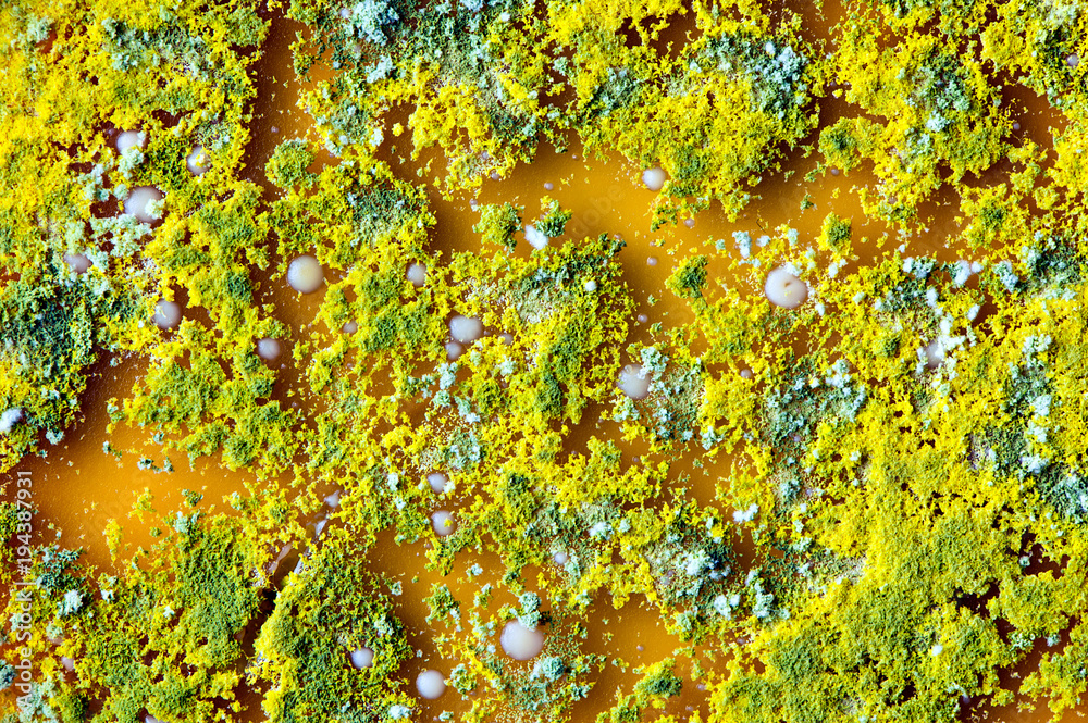 microbiology background Stock Photo | Adobe Stock