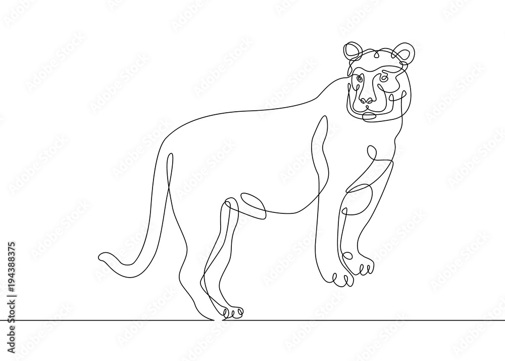 continuous line drawing lioness and tiger Stock Vector | Adobe Stock