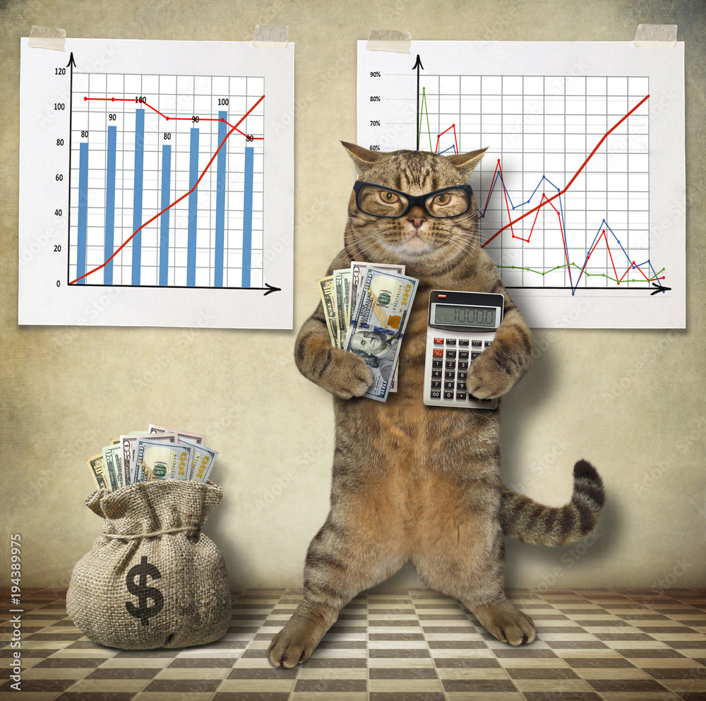 The cat trader is holding a bunch of money in one paw and a calculator ...