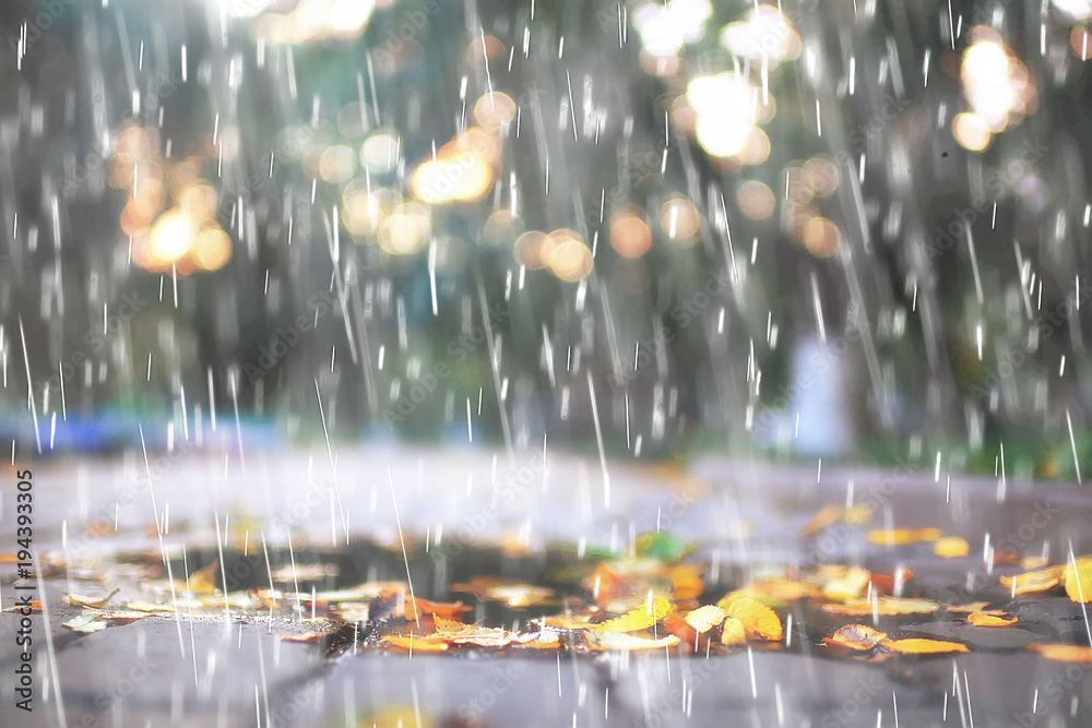 autumn park, rainy background / autumn landscape background rain ...