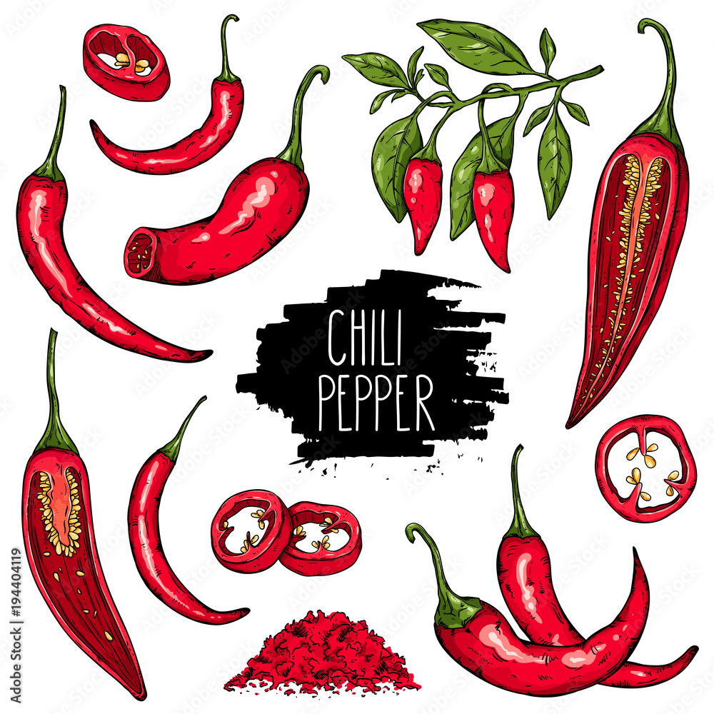 Hand drawn vegetable set of mexican hot pepper chili, slices, halves ...